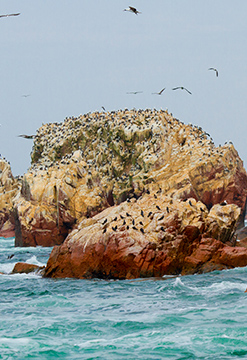 Fortaleza de Paramonga | Lugares turísticos | Turismo en Lima | Y tú ...