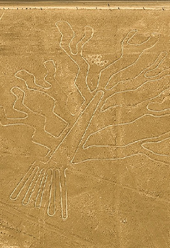 Nasca Terrestre | Ofertas de viaje | Paquetes turísticos | Y tú que planes?