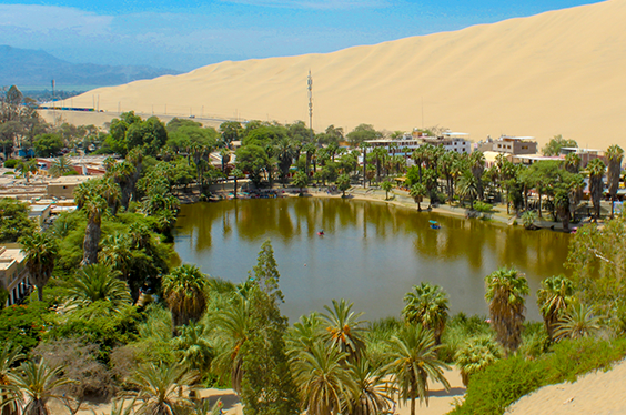 Full day Paracas e Ica | Ofertas de viaje | Paquetes turísticos | Y tú ...