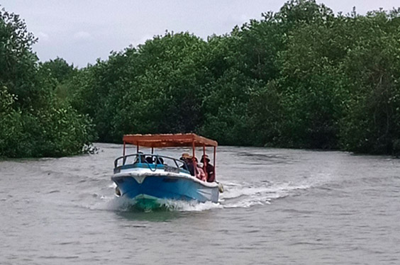 Piura y Tumbes | Ofertas de viaje | Paquetes turísticos | Y tú que planes?