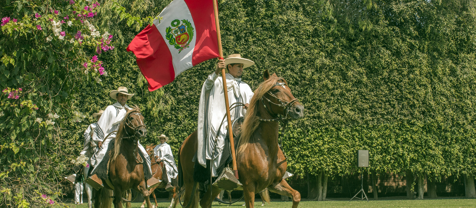 28 razones para sentirte todo un patriota por Fiestas Patrias | Y tú ...