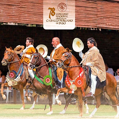 Concurso Nacional Oficial del Caballo Peruano de Paso | Festividades del Perú | Y tú qué planes?