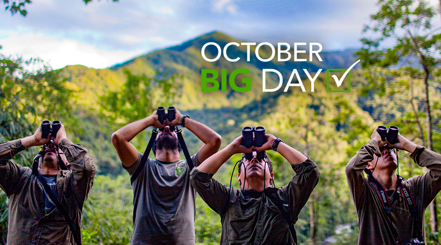 ¡Perú va por el primer lugar en el October Big Day! | Y tú qué planes?