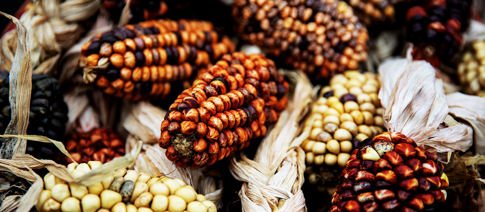 Maíz peruano, un tesoro histórico y nutritivo de nuestra gastronomía ...
