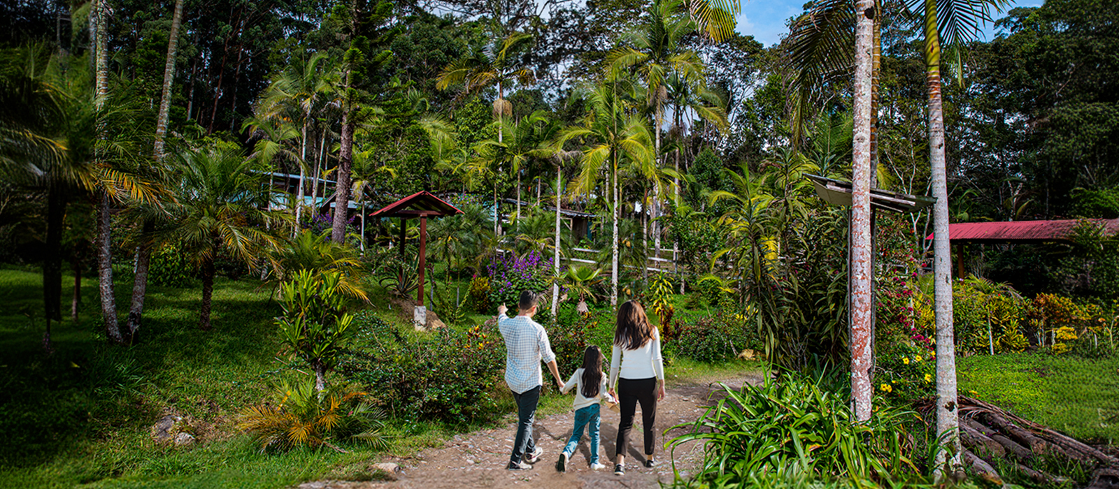 ¡Descubre el encanto del café peruano en Villa Rica! | Y tú qué planes?
