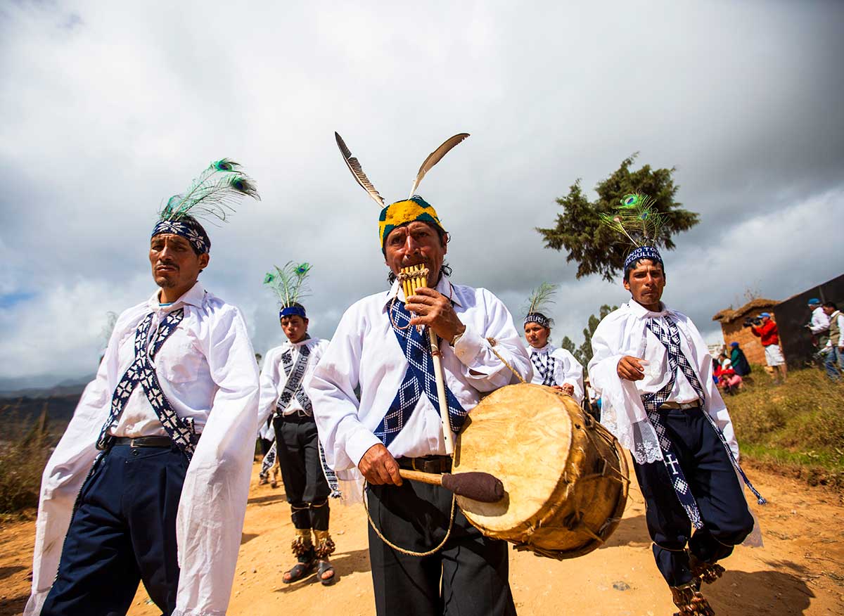 Amazonas: sumérgete en la esencia pura de la región a través de estos ...