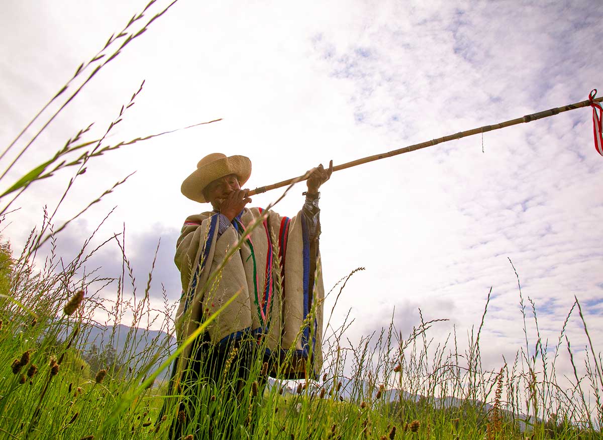¿Cómo es el clarín cajamarquino? El milenario instrumento que puede ...