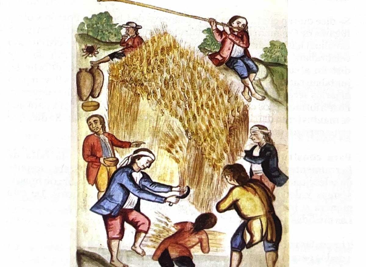 ¿Cómo es el clarín cajamarquino? El milenario instrumento que puede ...