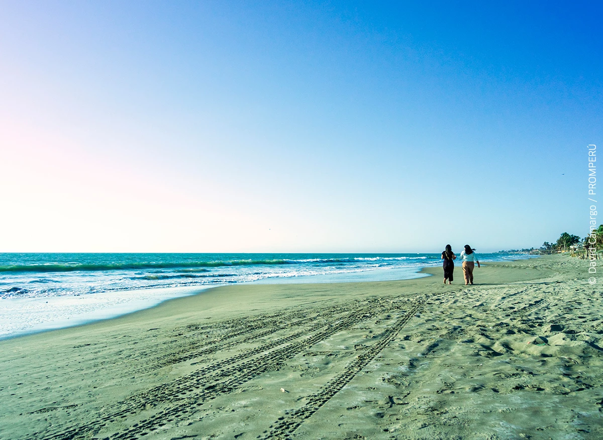Verano todo el año: descubre playas de ensueño en Piura | Y tú qué planes?