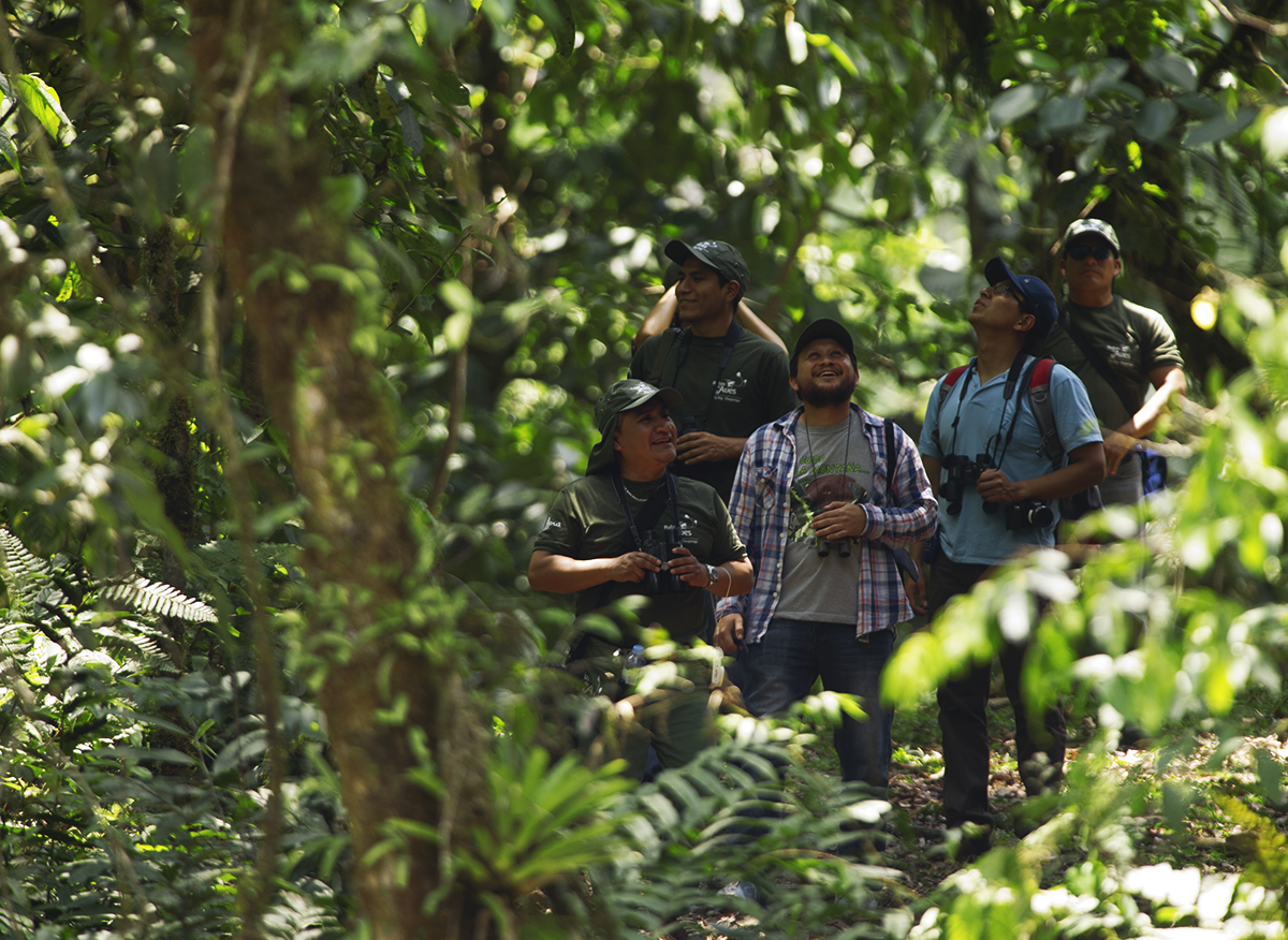 Tres increíbles rutas para realizar avistamiento de aves, aves, | Y tú qué planes?