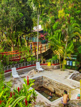 Conoce la selva de Moyobamba y Rioja | Ofertas de viaje | Paquetes ...