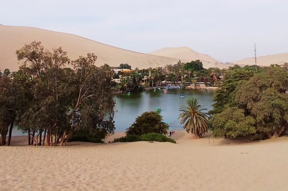 Disfruta tu verano en Ica | Ofertas de viaje | Paquetes turísticos | Y ...