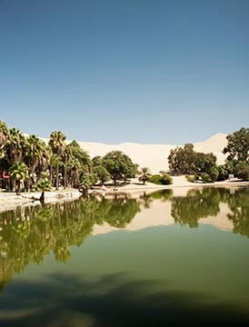 Ica y Paracas - New Year Welcome | Ofertas de viaje | Paquetes ...