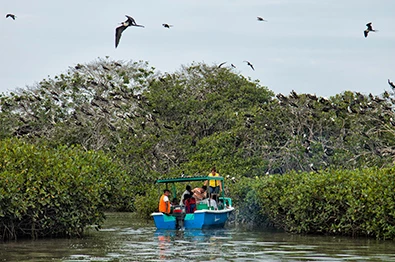 Tumbes: Naturaleza y Relax | Ofertas de viaje | Paquetes turísticos | Y ...