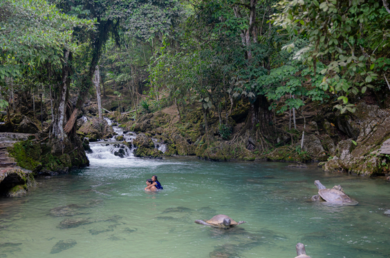 Descubre Moyobamba y su encanto | Ofertas de viaje | Paquetes ...