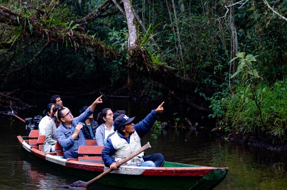 Disfruta en Moyobamba: naturaleza y familia | Ofertas de viaje ...