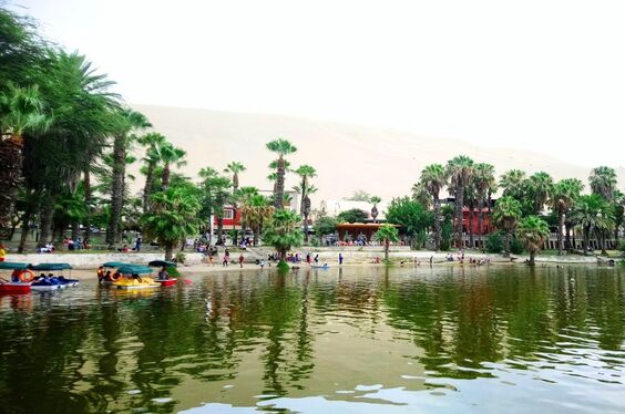 Ica & Paracas Inolvidable | Ofertas de viaje | Paquetes turísticos | Y ...