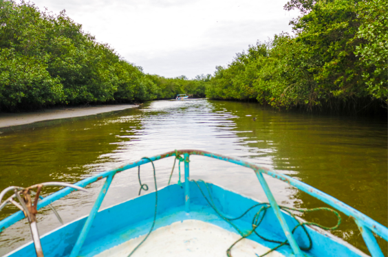 Máncora y Tumbes tradicional | Ofertas de viaje | Paquetes turísticos ...