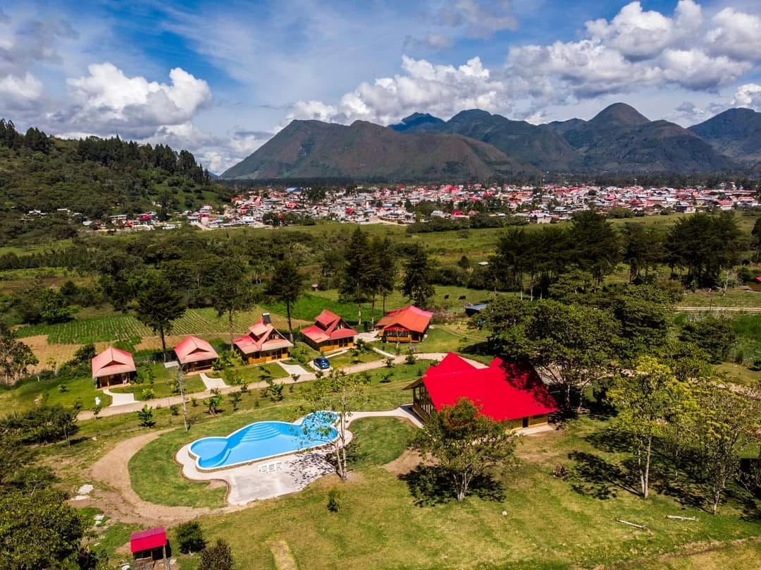 ¡La guía que necesitas para conocer Oxapampa! | Y tú qué planes?