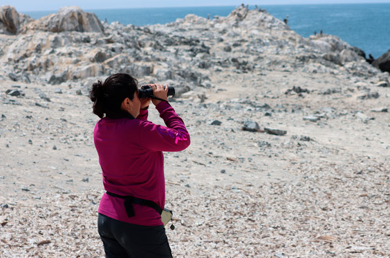 Punta Coles: reserva de vida | Ofertas de viaje | Paquetes turísticos ...