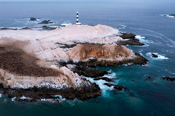 Punta Coles: reserva de vida | Ofertas de viaje | Paquetes turísticos ...