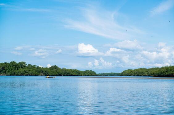 Santuario Nacional Manglares de Tumbes | Ofertas de viaje | Paquetes ...