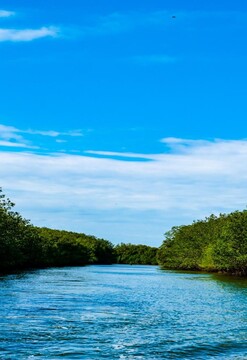 Santuario Nacional Manglares de Tumbes | Ofertas de viaje | Paquetes ...