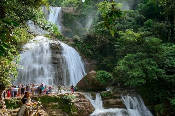 Selva Central Naturaleza | Ofertas de viaje | Paquetes turísticos | Y ...
