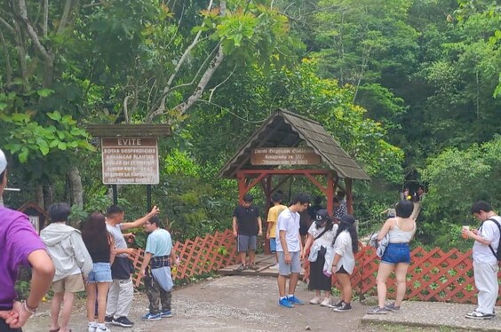 El paraiso de la selva central | Ofertas de viaje | Paquetes turísticos ...