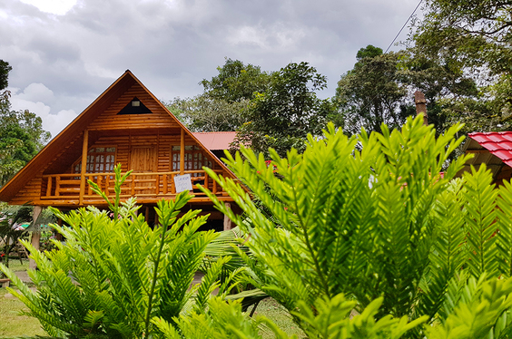 Selva Central Fascinante | Ofertas de viaje | Paquetes turísticos | Y ...