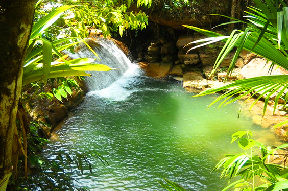 Selva Central Fascinante | Ofertas de viaje | Paquetes turísticos | Y ...