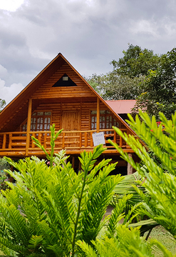 Selva Central Fascinante | Ofertas de viaje | Paquetes turísticos | Y ...