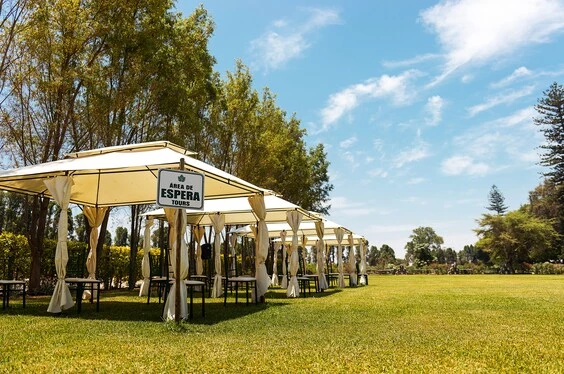 Tacama y Gran Tour con degustación | Ofertas de viaje | Paquetes ...
