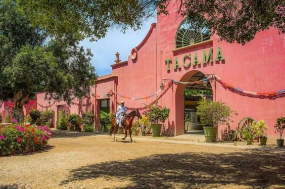Tacama y Gran Tour con degustación | Ofertas de viaje | Paquetes ...