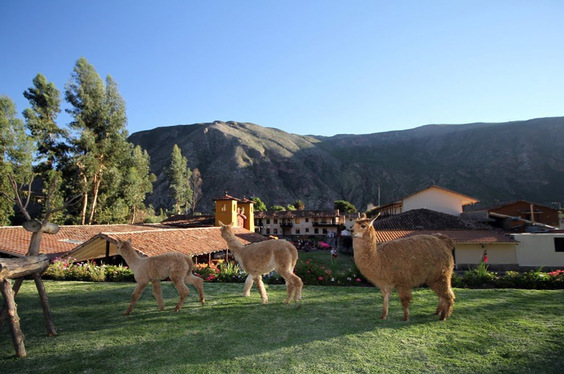 Celebra en Urubamba | Ofertas de viaje | Paquetes turísticos | Y tú que ...